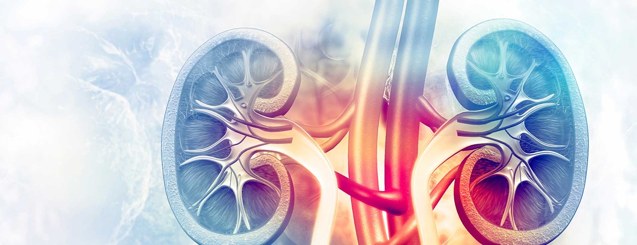 Praktijken | Medineth Grobbendonk